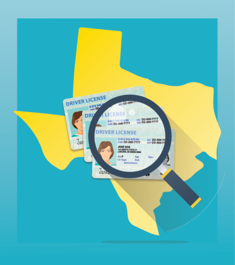 MVR Screening | Motor Vehicle Record | Driving History | InfoMart